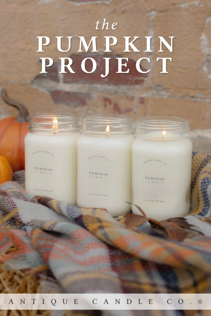 The Pumpkin Project – Antique Candle Co.